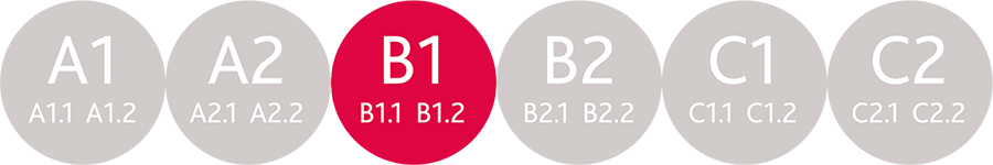 Alliance Francaise d'Oxford - Group Progression French